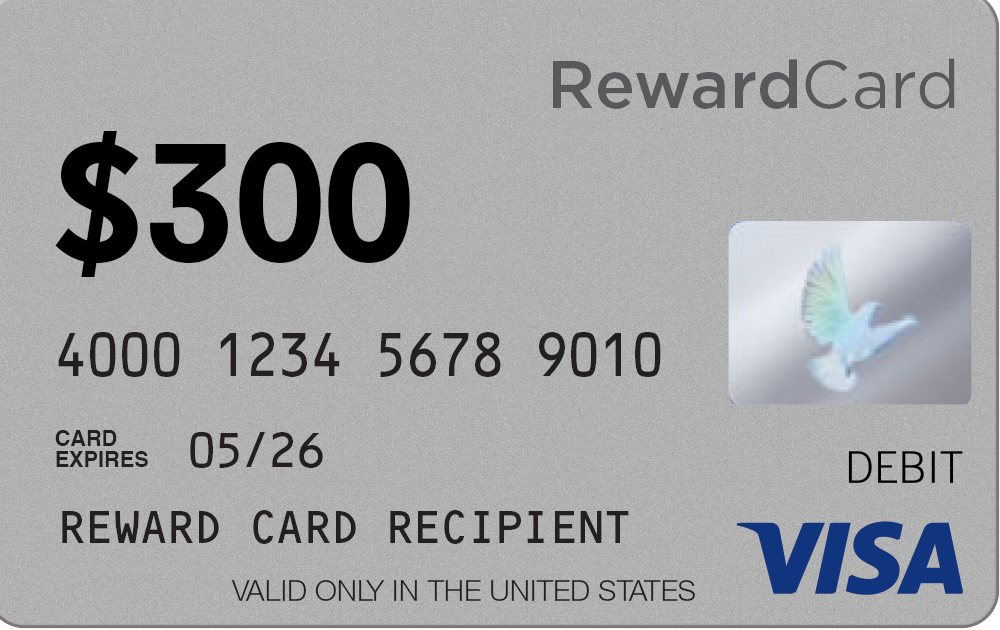 VISA-$300.png | Optimum